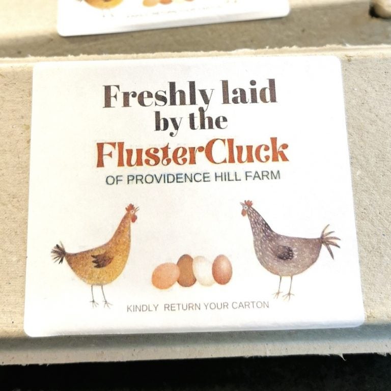 Free-Range Chicken Eggs | Providence Hill Farm